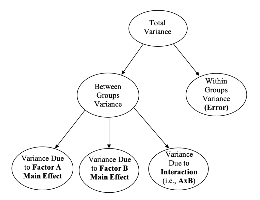 Activity 2 Between Groups Aka Independent Groups Factorial Anova Omnibus Tests In Jamovi